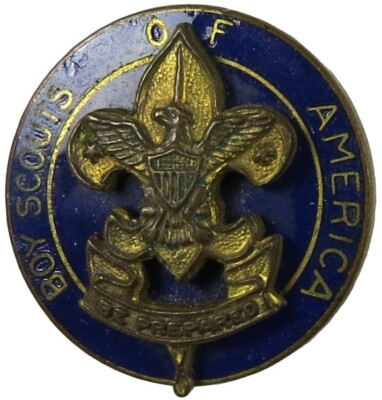 BSA Recognition Hat Pin (PIN-4244) | eBay