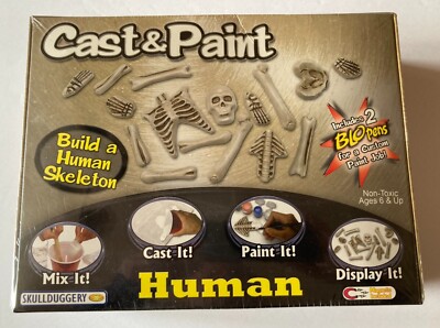 18" Human Skeleton Custom Cast & Paint Kit,Bones Project Science | eBay
