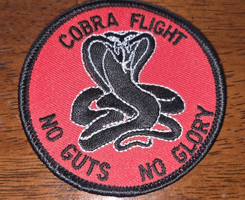 Original USAF Patch Cobra Flight 8 FTS Pilot Flying Training Squadron ...