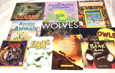 Birds Mammals Insects Books Lot of 11 Science Homeschool Teacher ...