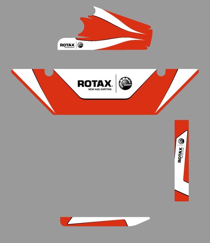 Birel ART EUROPEAN STYLE DD2 RADIATOR STICKER KIT - ROTAX - KARTING | eBay