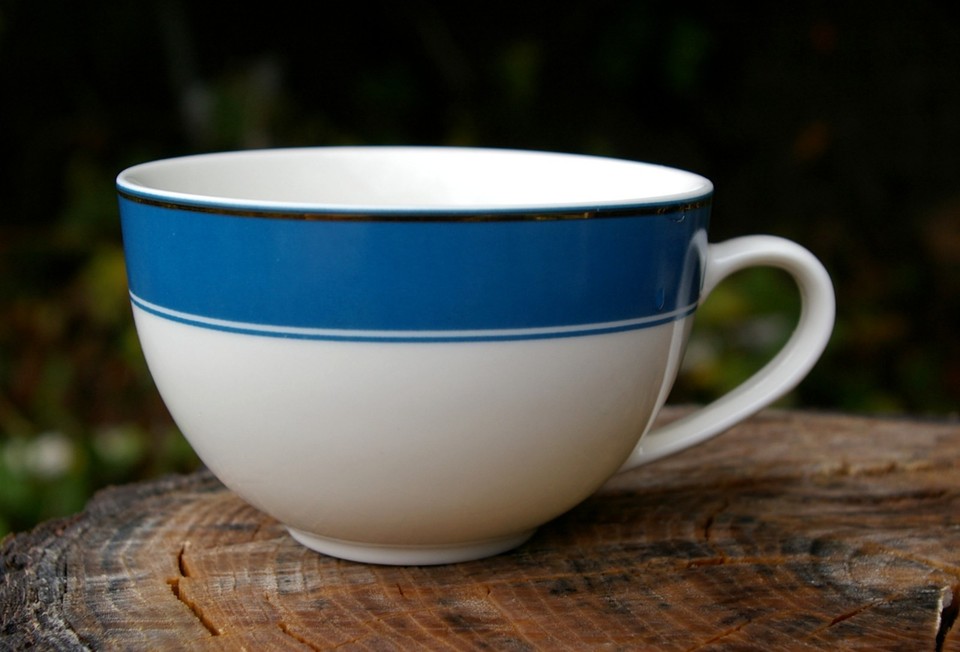 Starbucks Coffee Company Christmas Holiday 2006 12oz Blue Gold Tone Rim ...