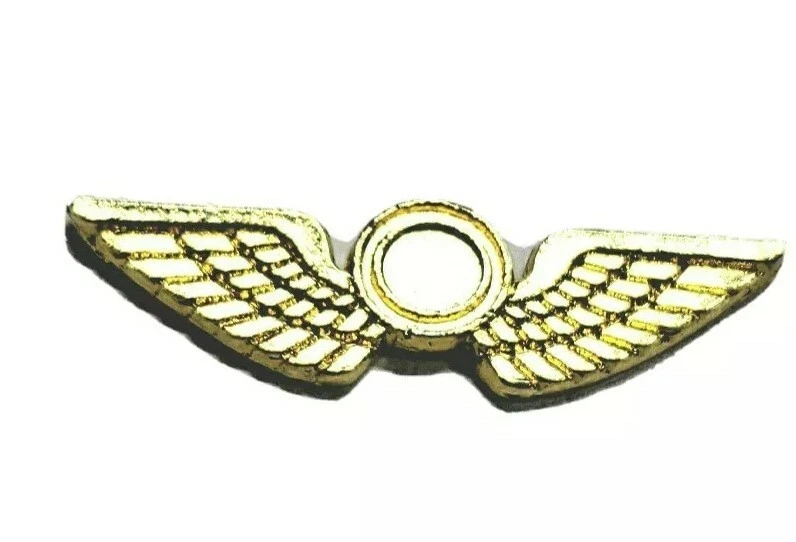 Flying Wings Pin