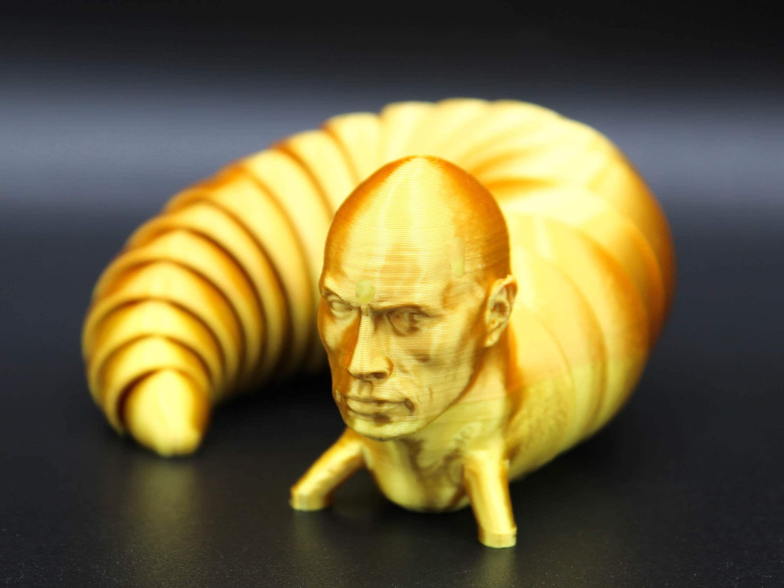 The Rock Fidget Slug | eBay