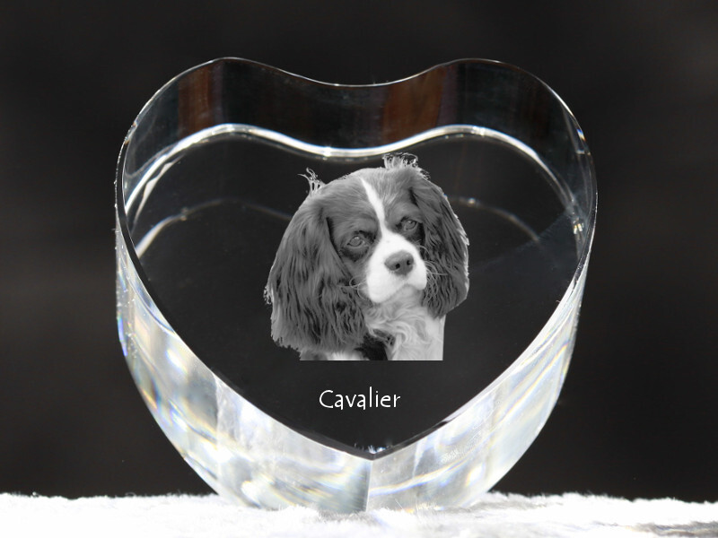 Cavalier King Charles Spaniel - Little IN Crystal,Crystal Heart,Unique ...