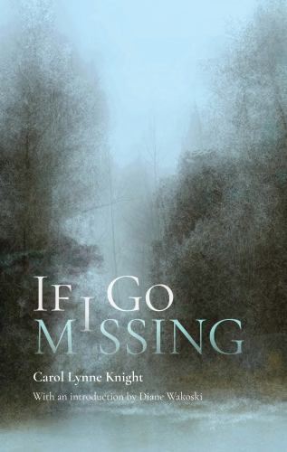 If I Go Missing by Knight, Carol Lynne 9781594980848| eBay