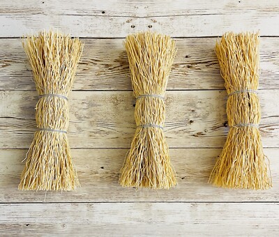 6x Mexican Fiber Root Brush Scrubber 6x Escobetas de Raiz | eBay