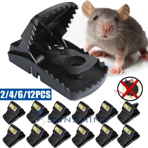 LARGE Mouse Traps Rat Mice Rodent Killer Snap Trap Reusable Heavy Duty ...