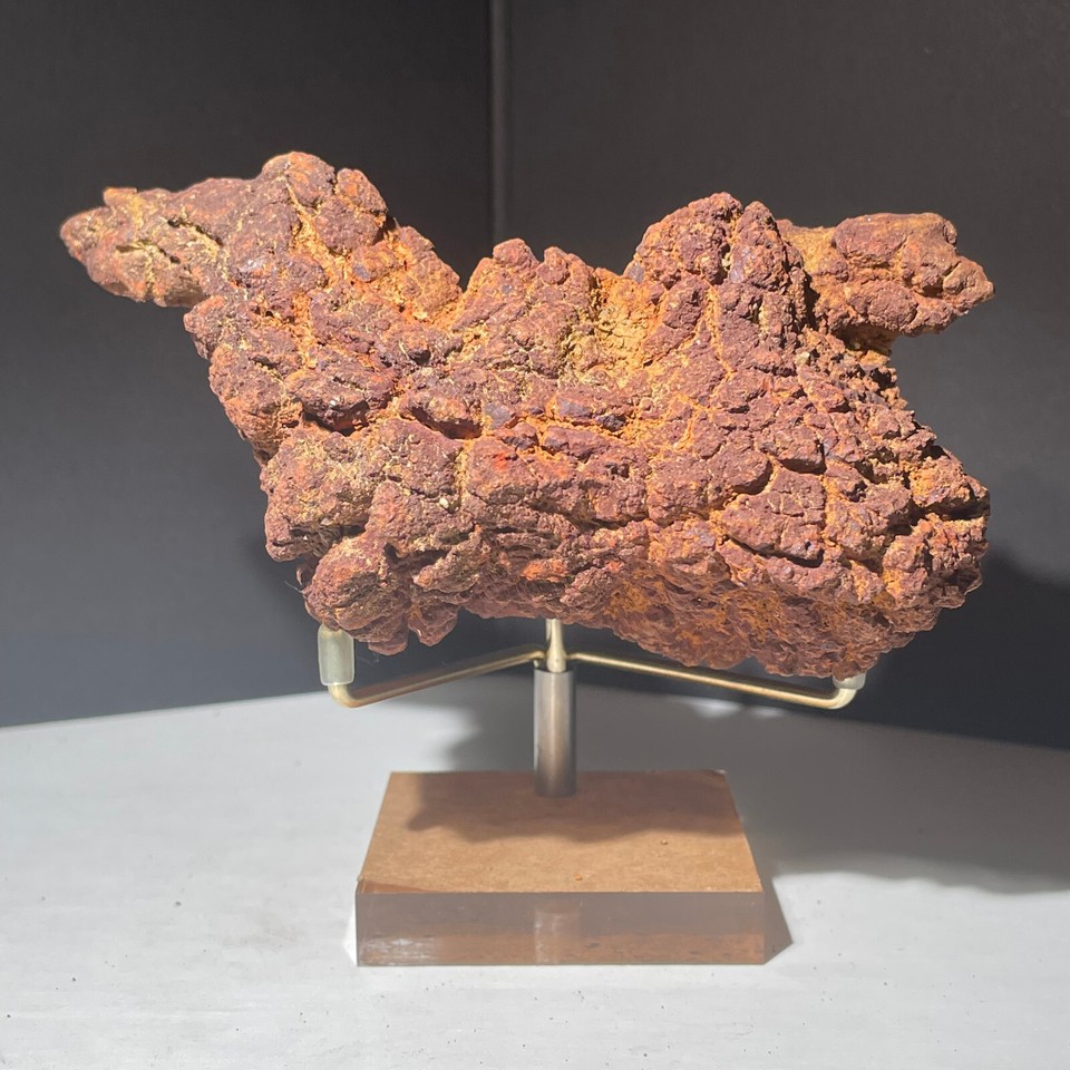 450g Rare Natural Dinosaur dung Fossil coprolite Petrified Poop ...