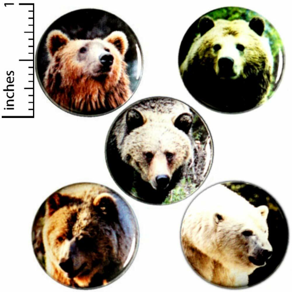 Bear Fridge Magnets Wildlife Bears Refrigerator Magnet 5 Pack Gift Set ...