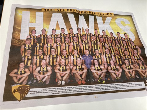 3 X Hawthorn Hawks Sicily & 2024 & 2023 AFL Team - Herald Sun Posters ...