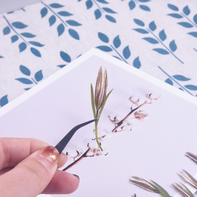 12PCS Real Pressed Dry flower, bud flower with stem leaves for art ...