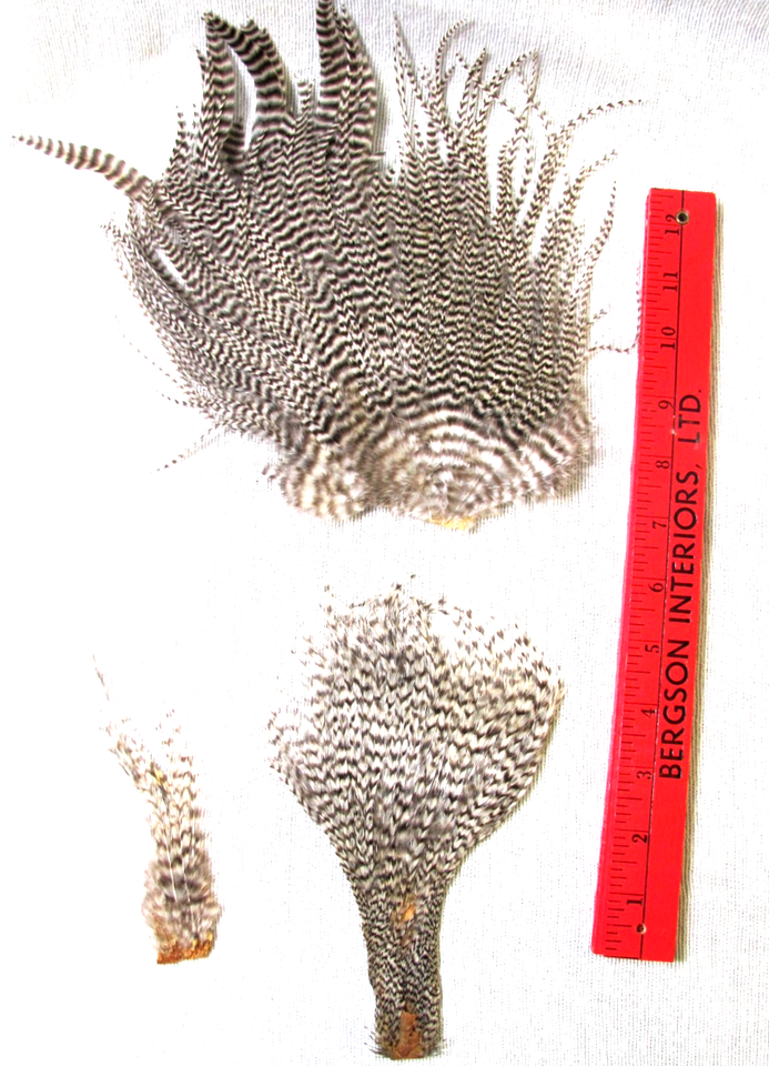 Grizzly? Dry Fly Hackle? Neck Cape? Rooster Fishing Feathers Trout ...