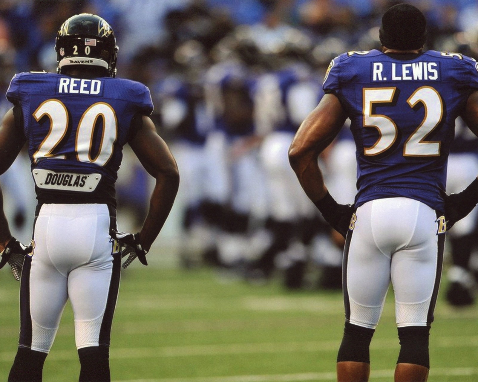 Ray Lewis And Ed Reed Wallpaper