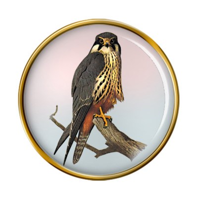 Hobby Falcon Lapel Pin Badge | eBay UK