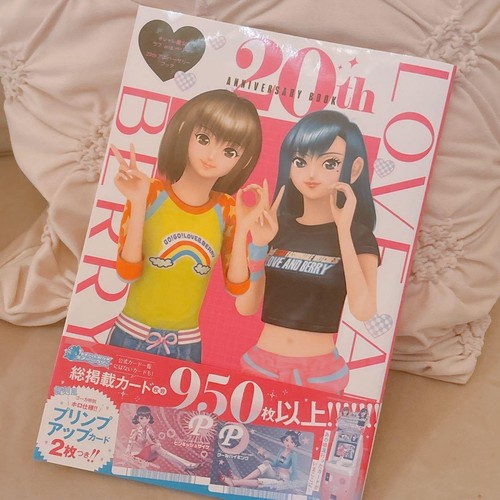 Love And Berry Anniversary Book 20Th | eBay