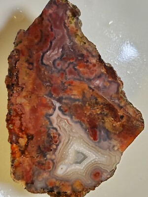 Rare Banded Fortification Plume Laguna Agate Rough Nodule Mexico 694g | eBay