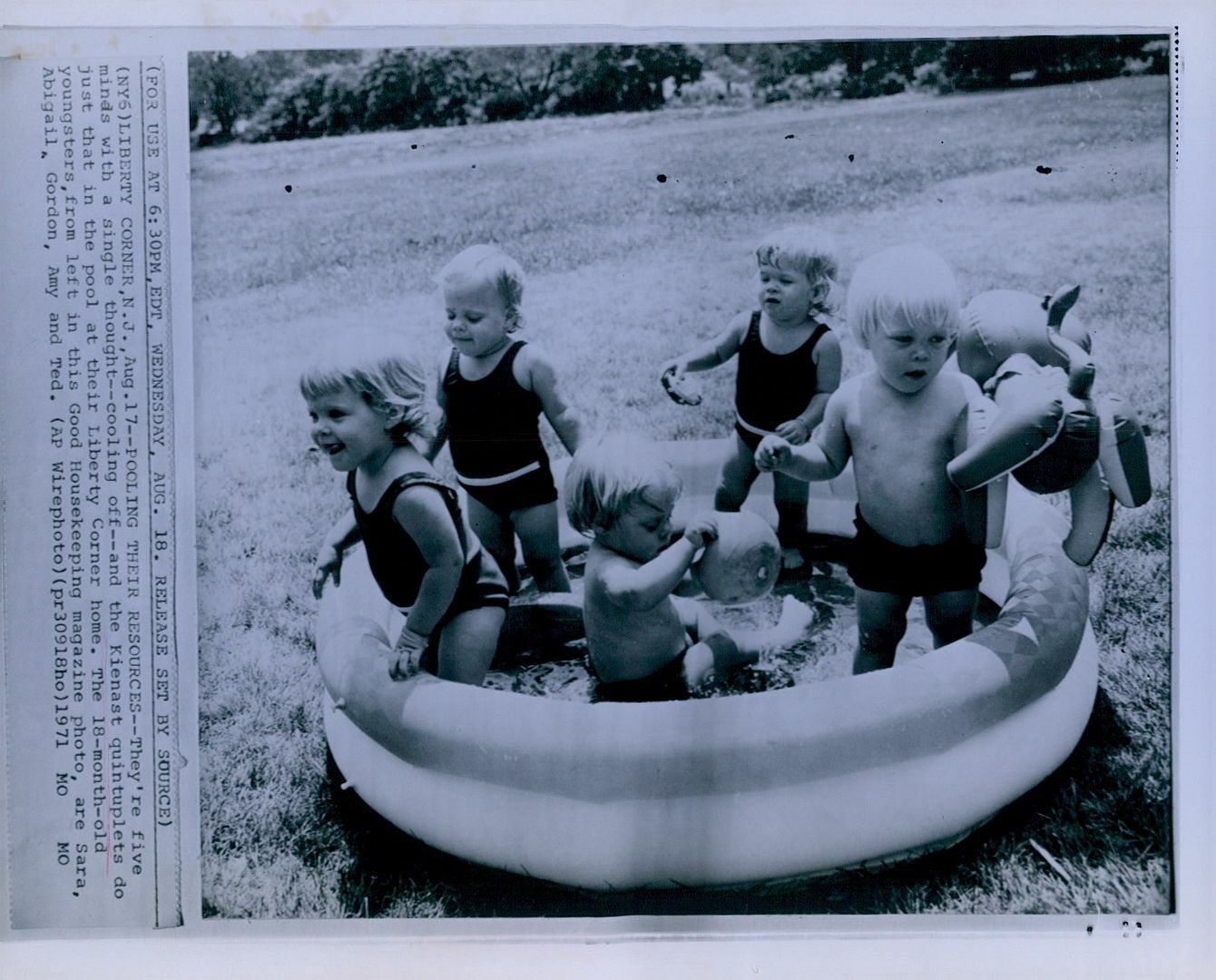 1971 Kienast Quintuplets Playing in Pool New Jersey Wire Photo | eBay
