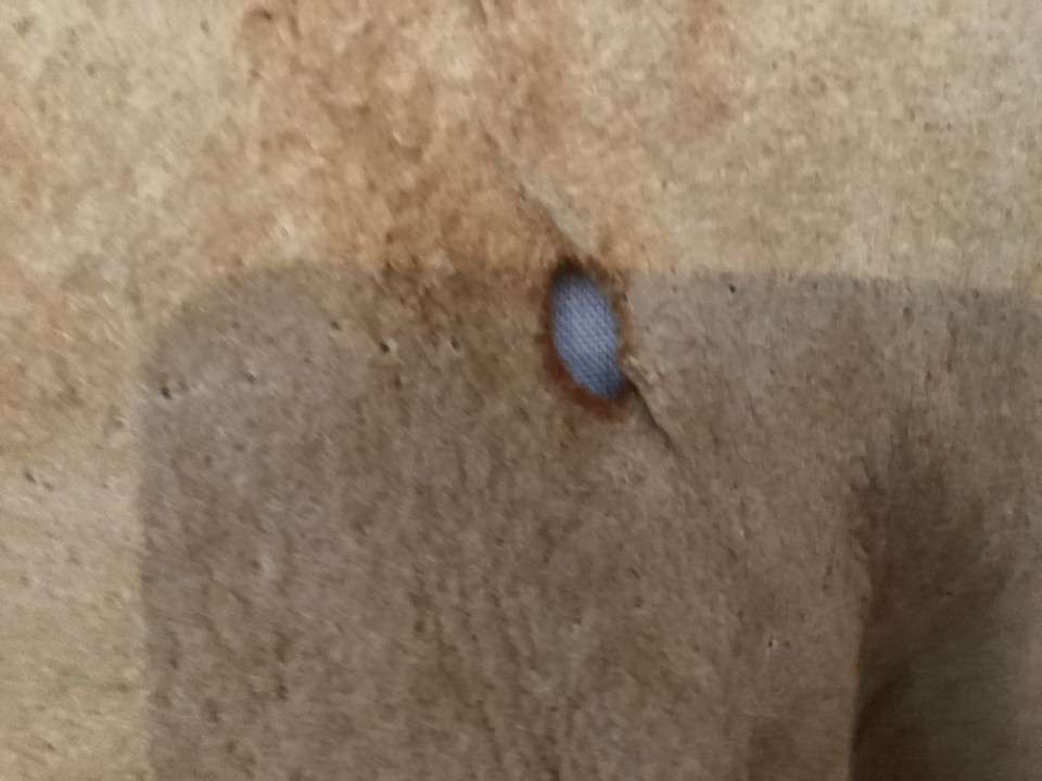 VERY RARE ANTIQUE AUTHENTIC NATIVE AMERICAN INDIAN RAW HIDE BEADED ...