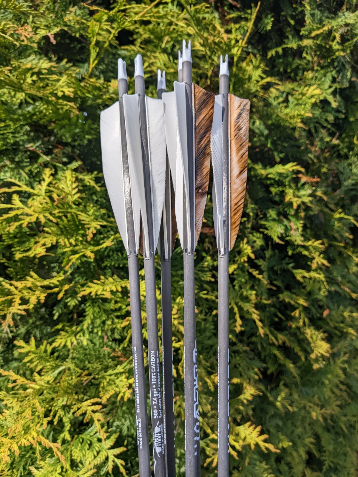 Gold Tip Warrior Carbon Arrows. 700, 600, 500, 400, 340, or 340. 6 Pack ...