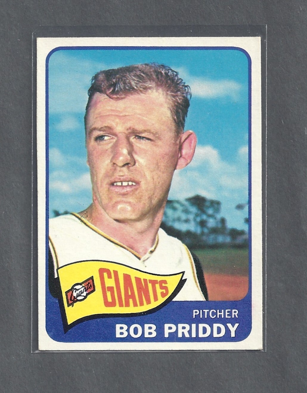1965 Topps Baseball #482 Bob Priddy EXMT 0482DR01 | eBay