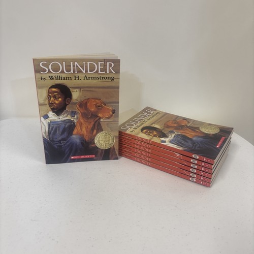 Set 7 Sounder Armstrong Guided Reading Classroom Teacher Book Club ...