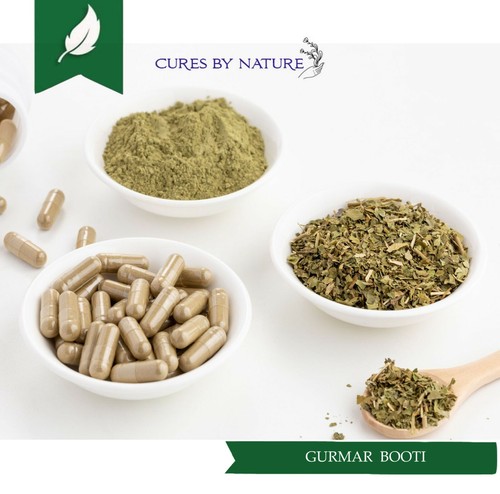 Organic Gymnema Sylvestre Powder Capsule Blood Sugar Control Gudmar ...