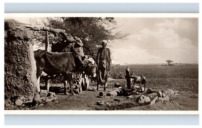 Sakieh Cairo Egypt Postcard | eBay Australia