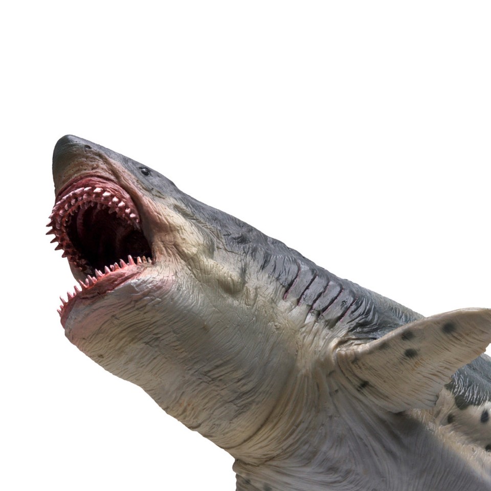 PNSO Megalodon Model Prehistoric Ocean Animal Figure Toy Collection ...