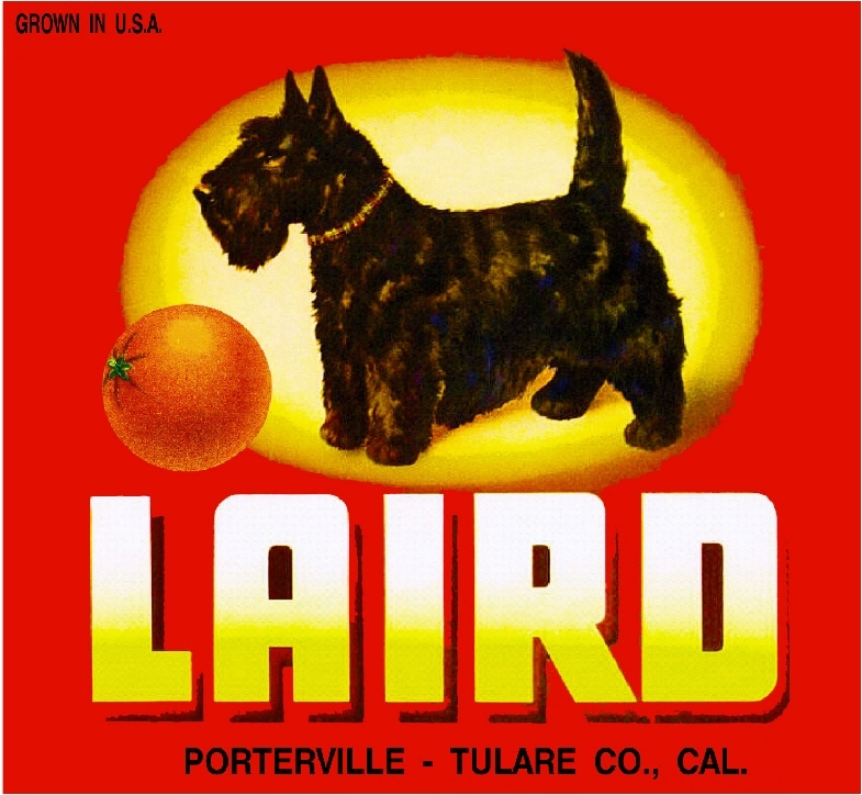 Porterville Laird Scottish Terrier Scottie Dog Orange Fruit Crate Label ...