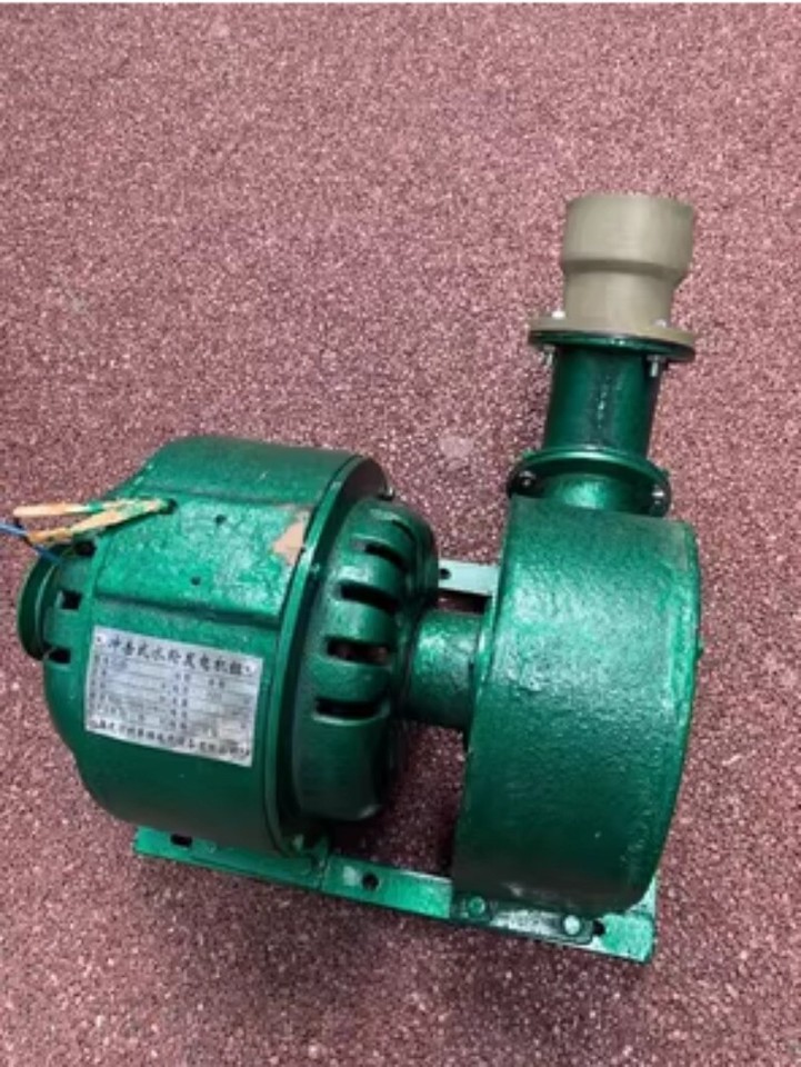 Single-phase Impact Generator 220V 3000w Horizontal Dual-purpose Hydro ...