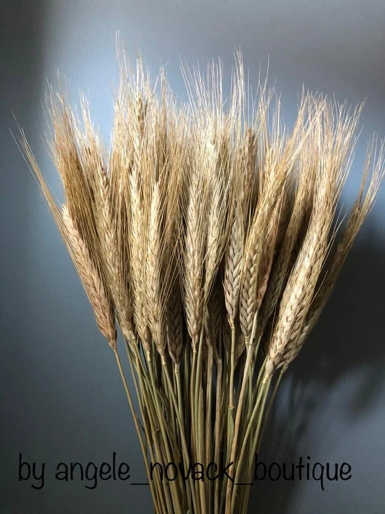 Dried Wheat Arrangements