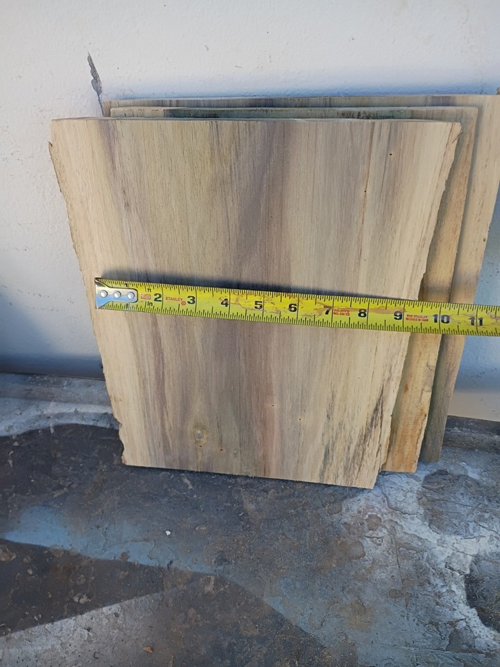 Four Blue mahoe wood Blank 1/2 X 8 X 12 | eBay