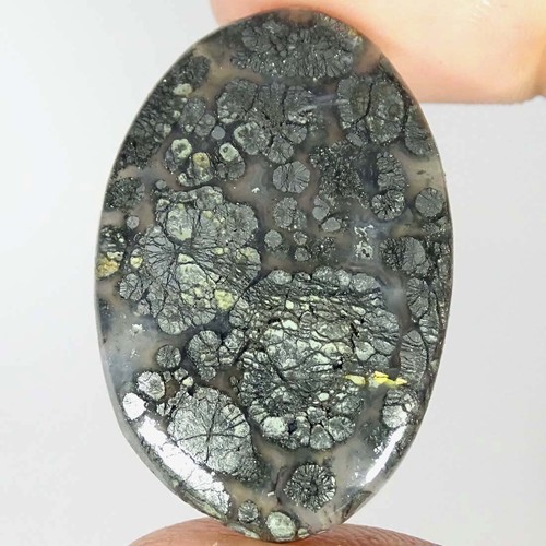 46.50Cts Natural Marcasite Oval Cabochon Loose Gemstones | eBay