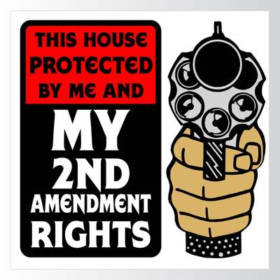 House Home Protected 2nd Amendment Rights Beware Owner Sign 12" Private ...
