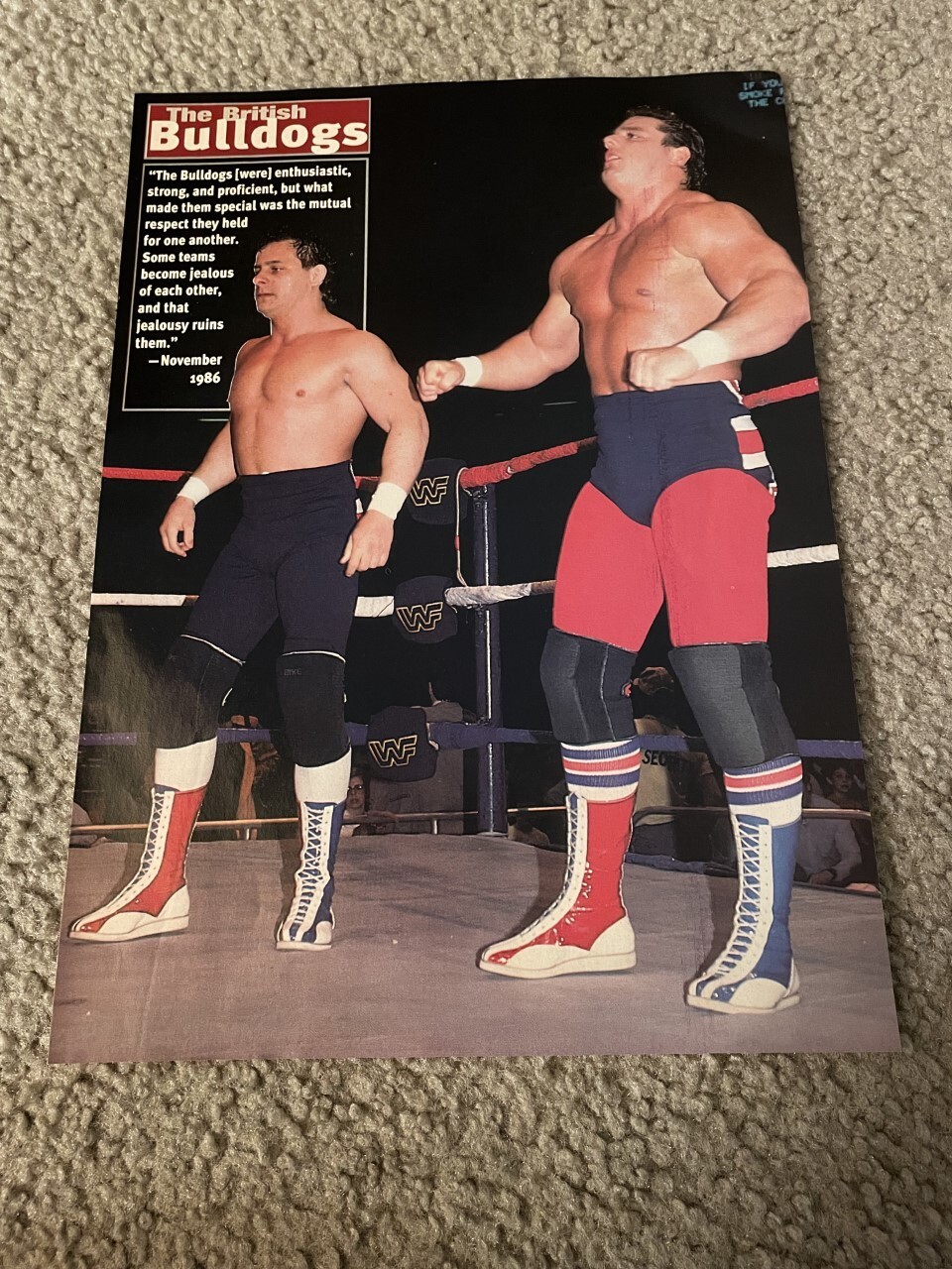 Vintage WWF BRITISH BULLDOGS Wrestling Pinup Photo DYNAMITE KID DAVEY ...