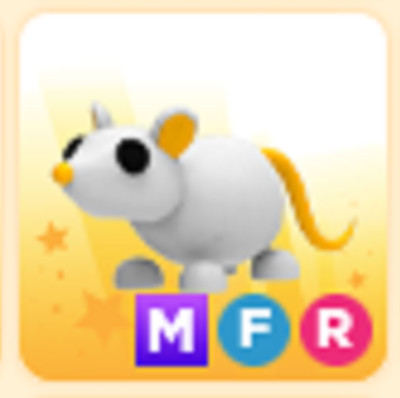 ADOPT from ME - MFR Golden Rat - The Trusted Store!! | eBay