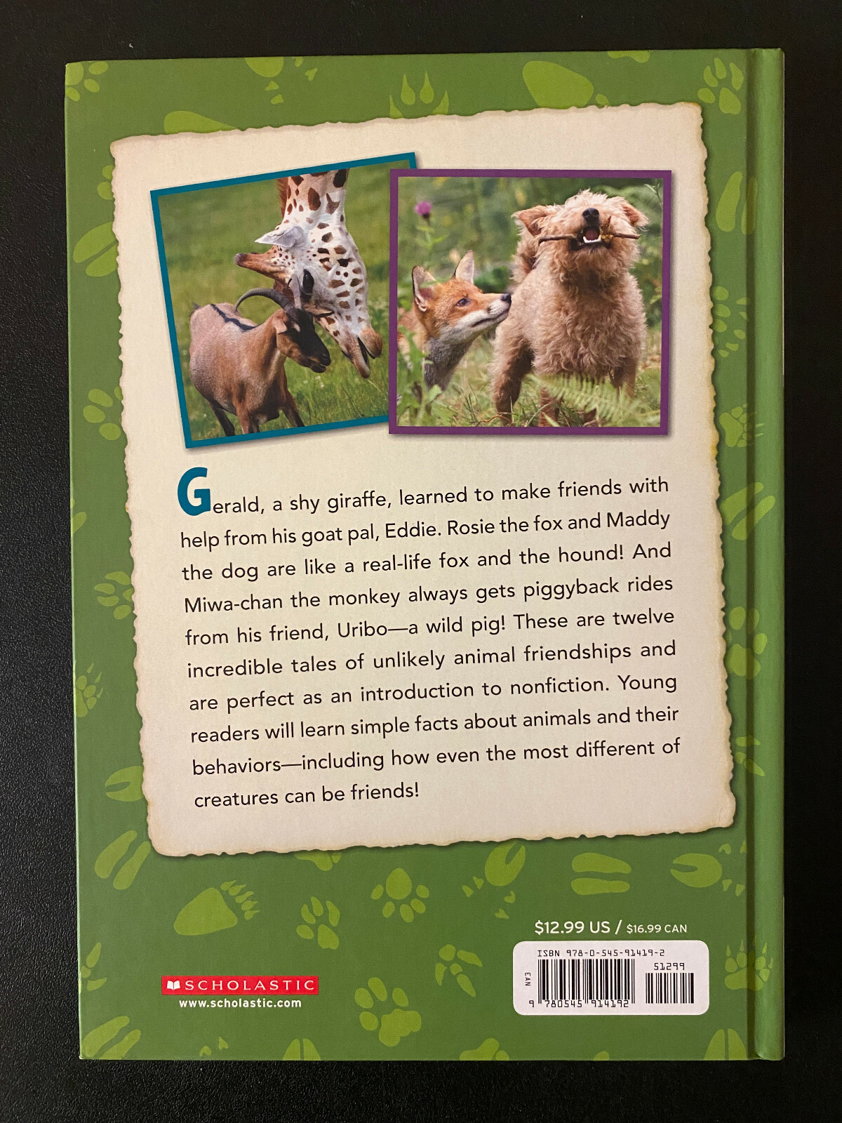Five-Minute True Stories: Animal BFFs by Aubre Andrus (2016, Hardcover ...
