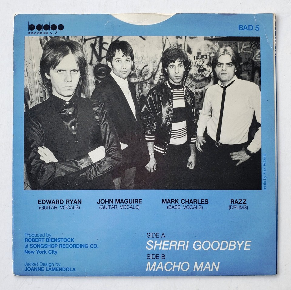 The Rudies 45 Sherri Goodbye - Punk Power Pop - HEAR | eBay