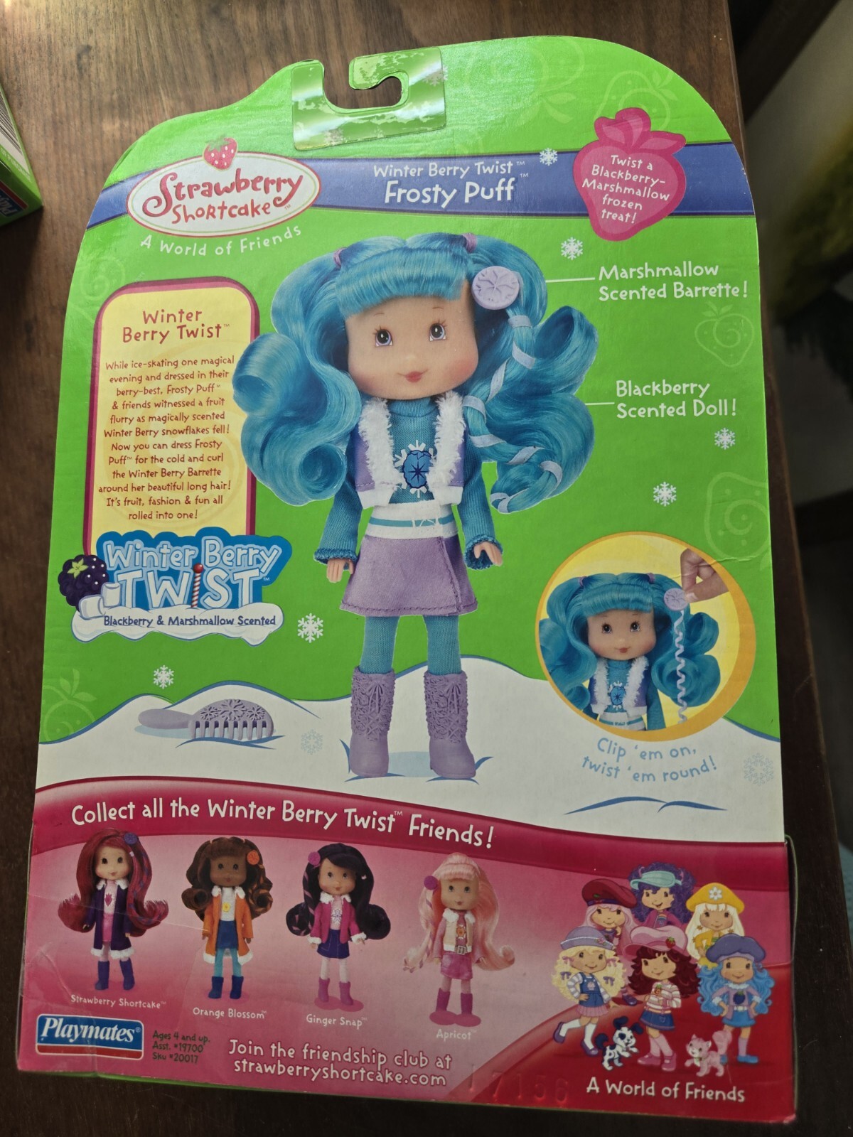 Strawberry Shortcake Winter Berry Twist Doll Frosty Puff Rare Playmates ...