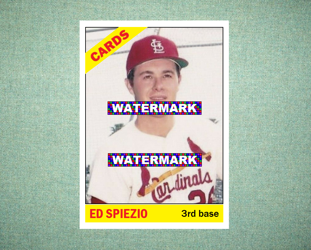 Ed Spiezio St Louis Cardinals 1966 Style Custom Baseball Art Card | eBay