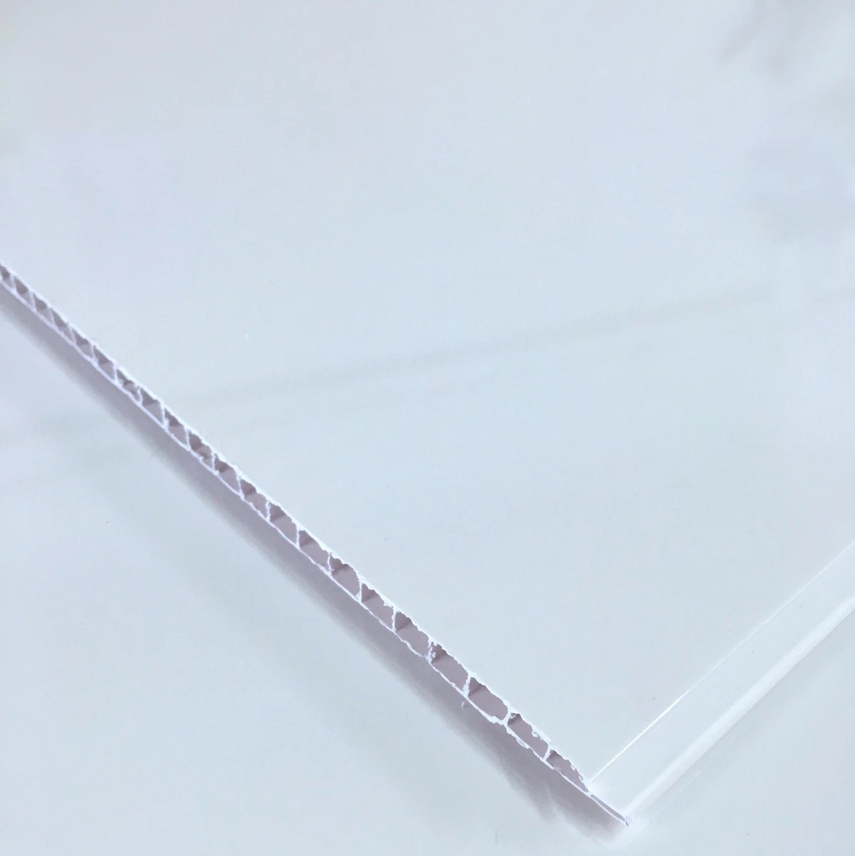 Translucent Plastic Ceiling Panels | Shelly Lighting