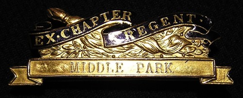 VTG DAR DAUGHTERS OF THE AMERICAN REVOLUTION EX-CHAPTER REGENT PIN ...