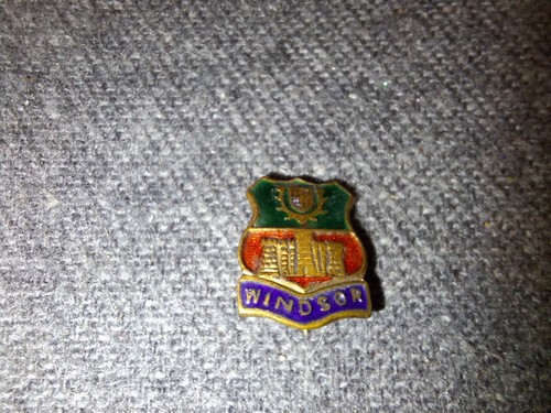 Vintage Windsor Gold Tone Pin | eBay