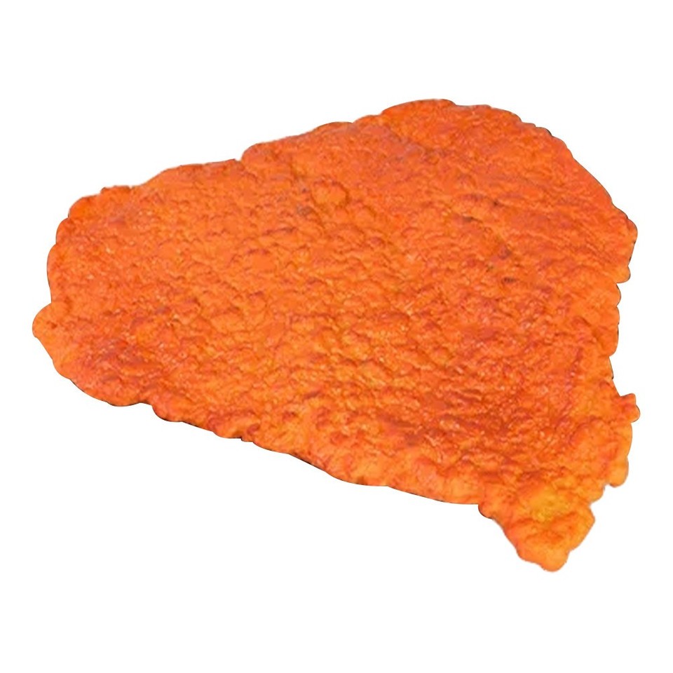 Pretend Chicken Cutlets Simulation Model Artificial Fried Fake Ornament ...