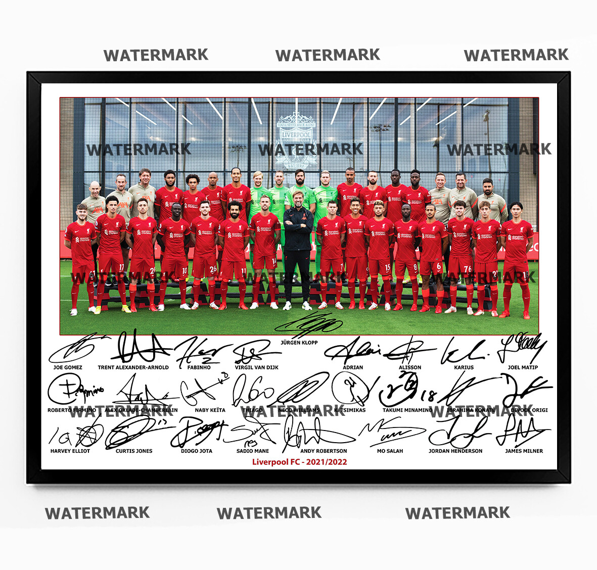 Liverpool Fc 2022 Squad