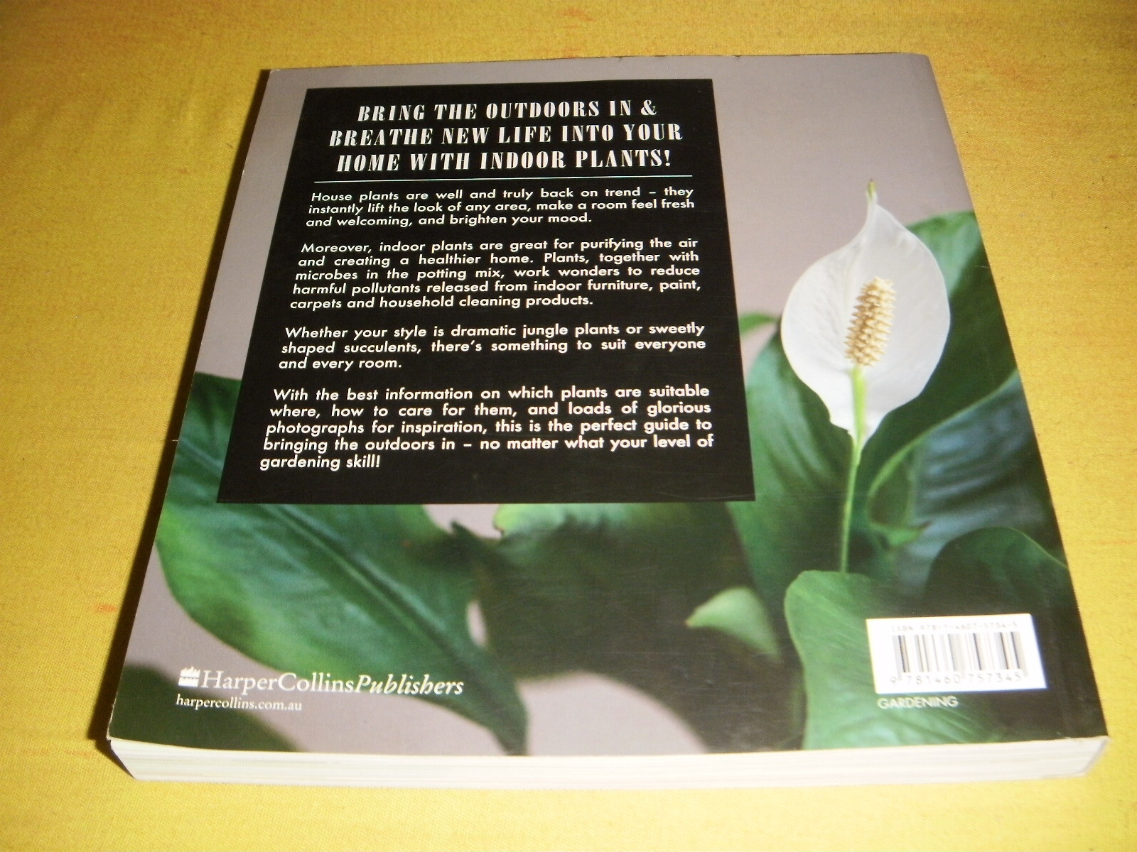 YATES Top 50 Indoor Plants and how NOT to kill them! Paperback Book ...
