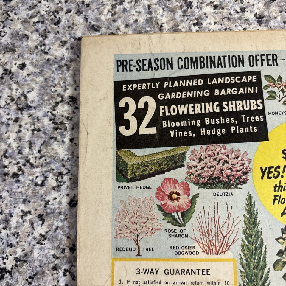 True Secrets Magazine I Caught My Wife At An Orgy April 1969 | eBay