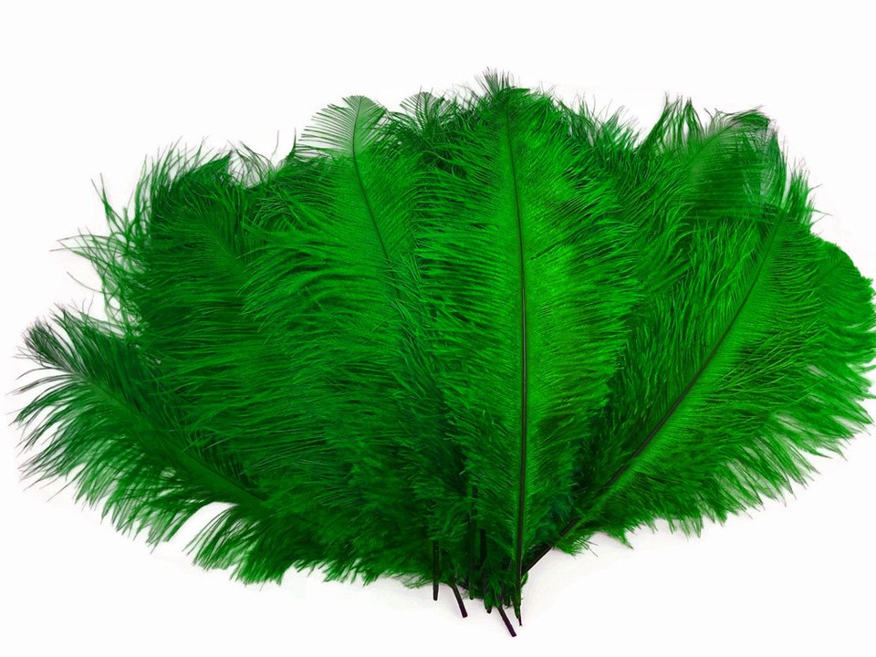 10 Pieces - 8-10" Kelly Green Ostrich Dyed Drabs Feathers Halloween ...