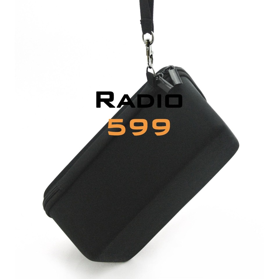 Radio Case Compatible with KENWOOD TH-D75 D74 Two-Way Radio CB/QRP ...